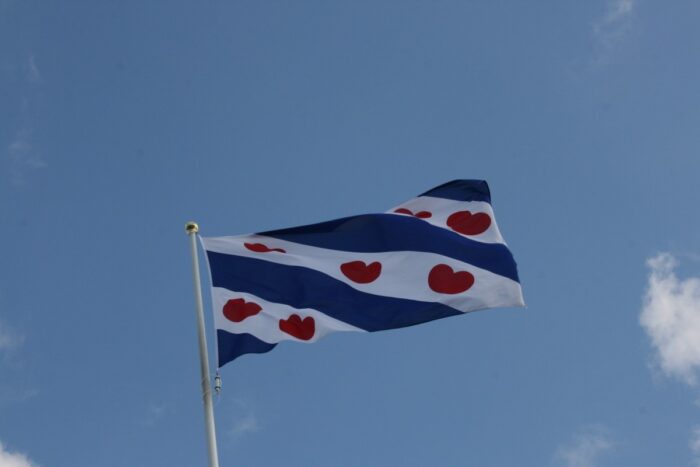 Friese vlag | Bestel bij MastenenVlaggen.nl