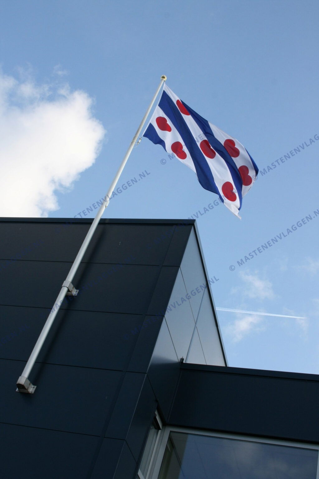 Friese vlag | Bestel bij MastenenVlaggen.nl