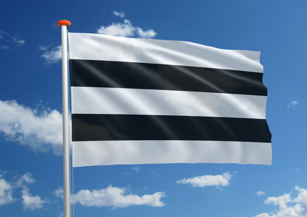 Vlag Diest | Bestel bij MastenenVlaggen.nl