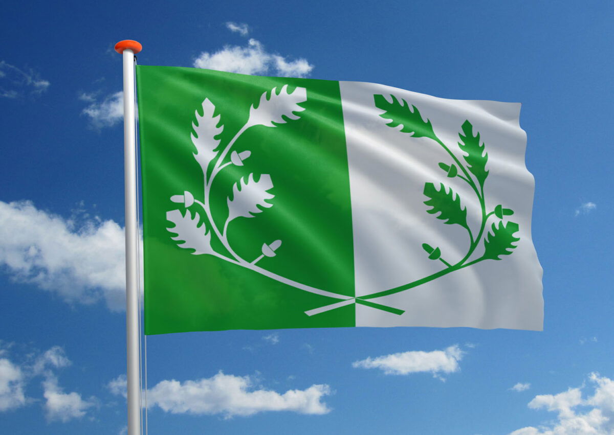 Vlag Eeklo | Bestel bij MastenenVlaggen.nl