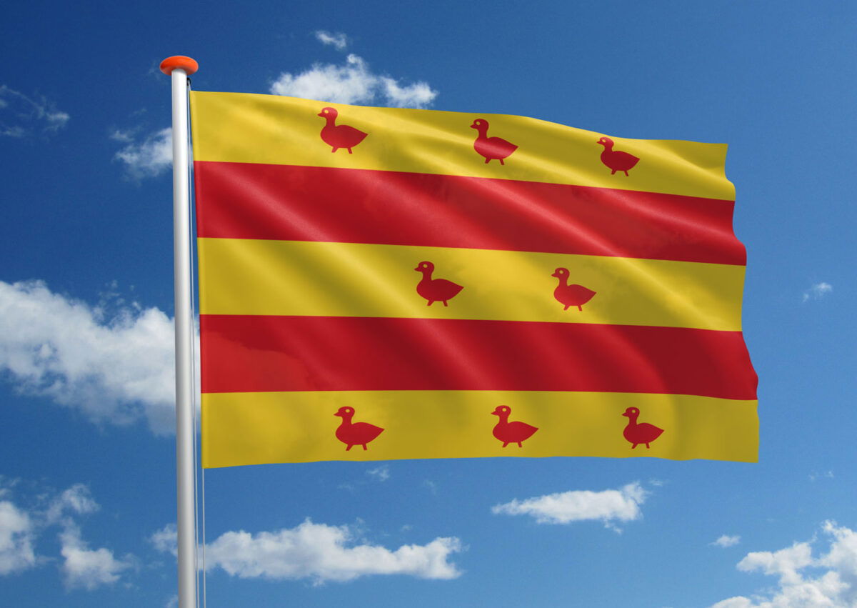 Stadsvlag Grave | Bestel bij MastenenVlaggen.nl